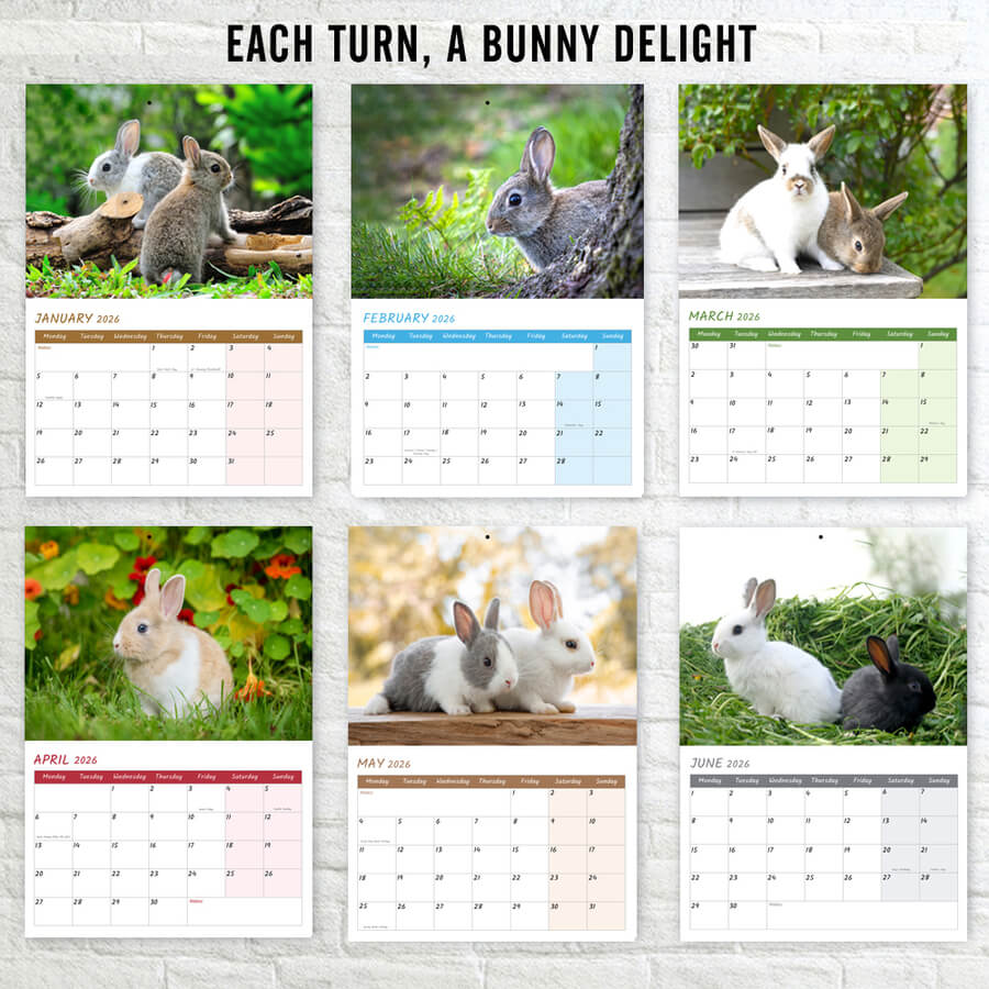 Bunny Calendar 2026 | 2026 Calendar | 2026 Calendar UK – papaprints