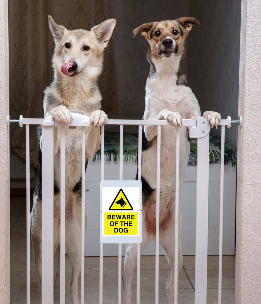 Dog warning sign sticker/Outdoor dog warning sticker/Pet safety sign ...