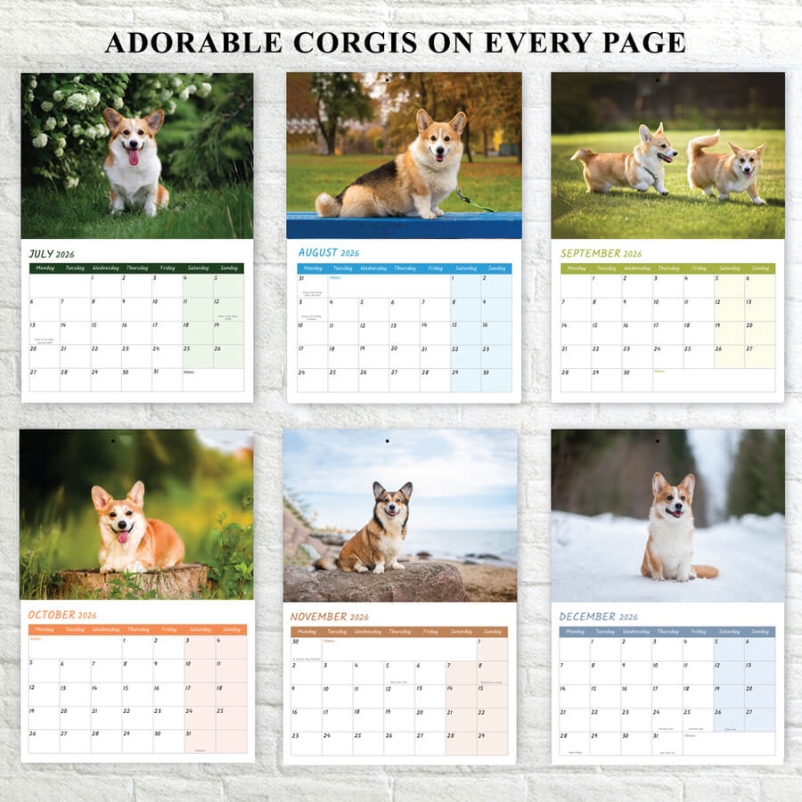 Corgi Calendar 2026 | Wall Calendar | Family Calendar UK